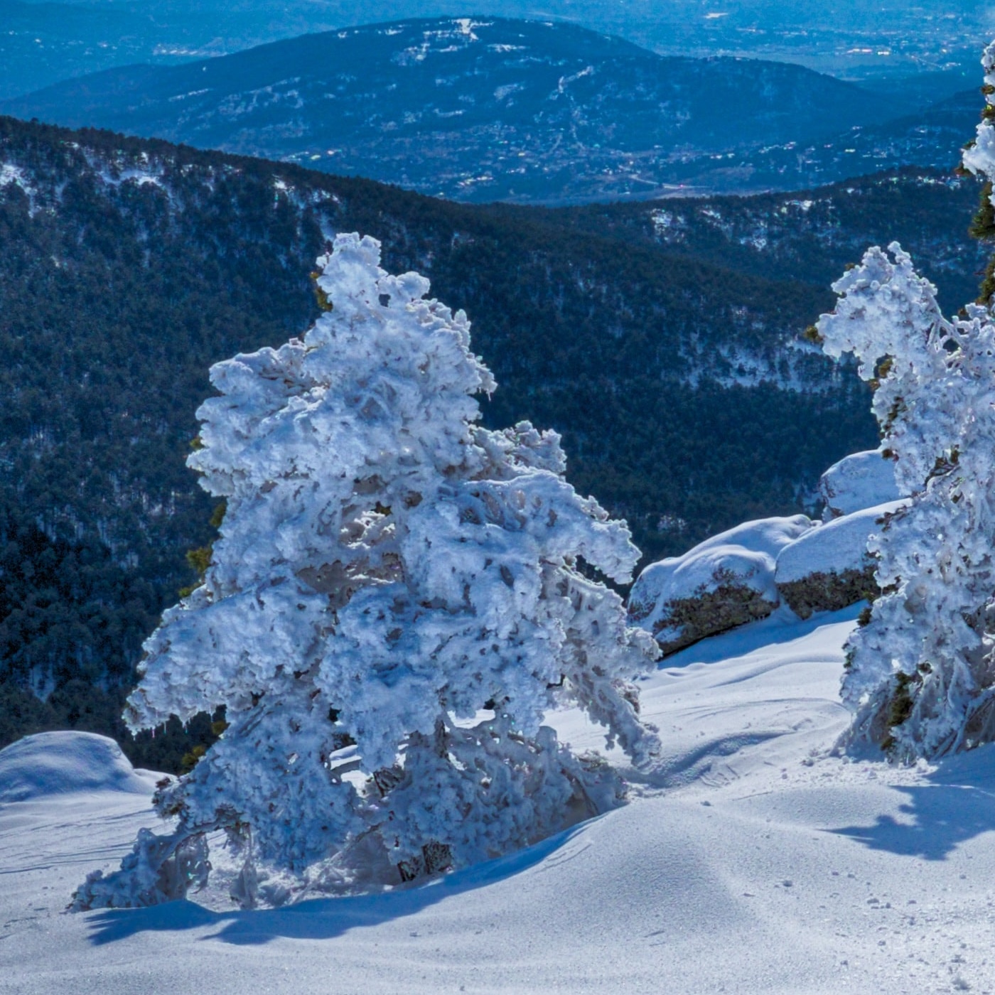 Featured projects - Kenza Tazi